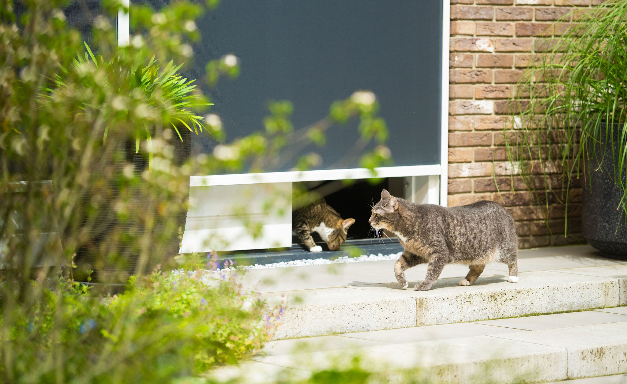 More efficient customer service and insights with HubSpot ticketing system